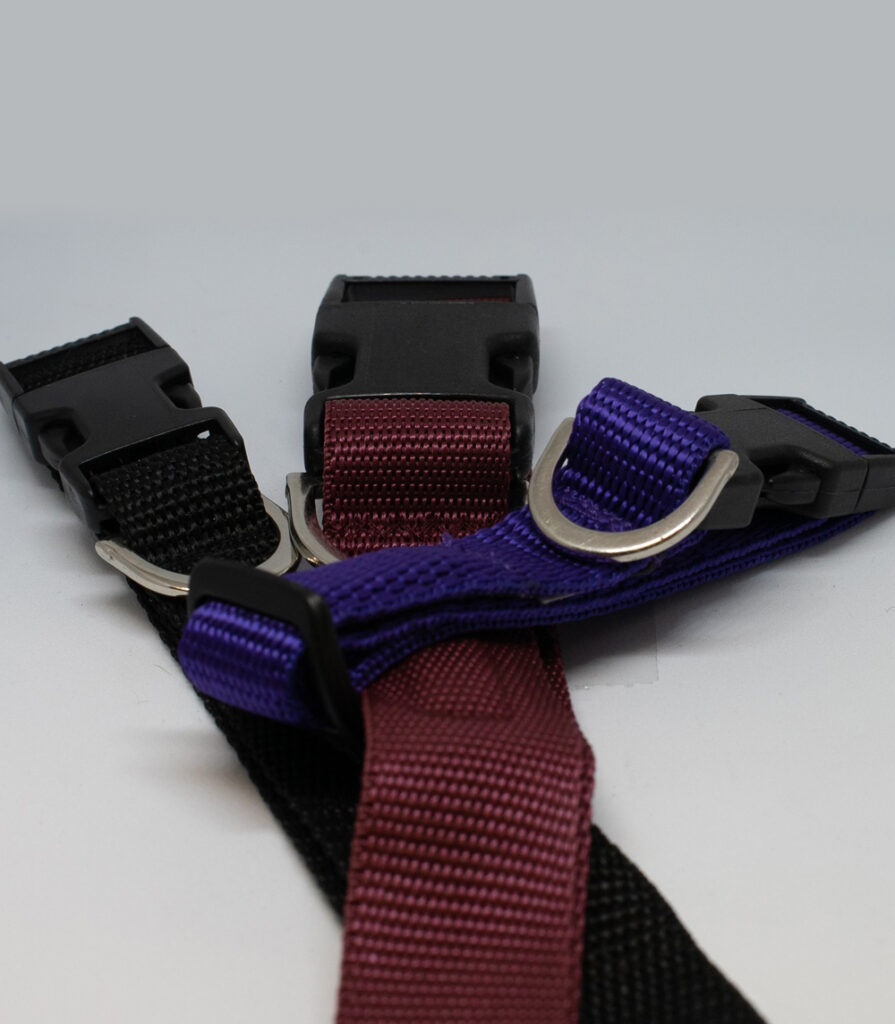 Magnetic Dog collar - Pulsemagnetics
